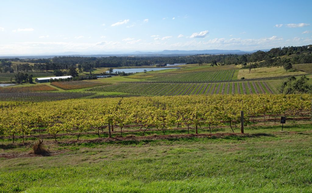 The Hunter Valley – BLAIR AND SUSAN – A Home Free Global Life